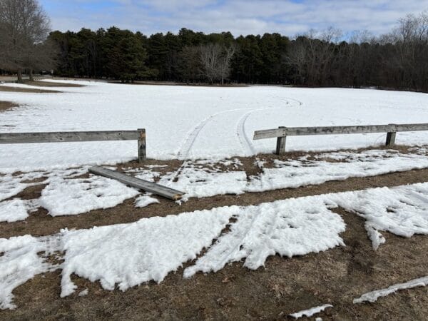 WPD Asks Help Finding Warwick City Park Vandal - WarwickPost.com WPD Asks Help Finding Warwick City Park Vandal - WarwickPost.com